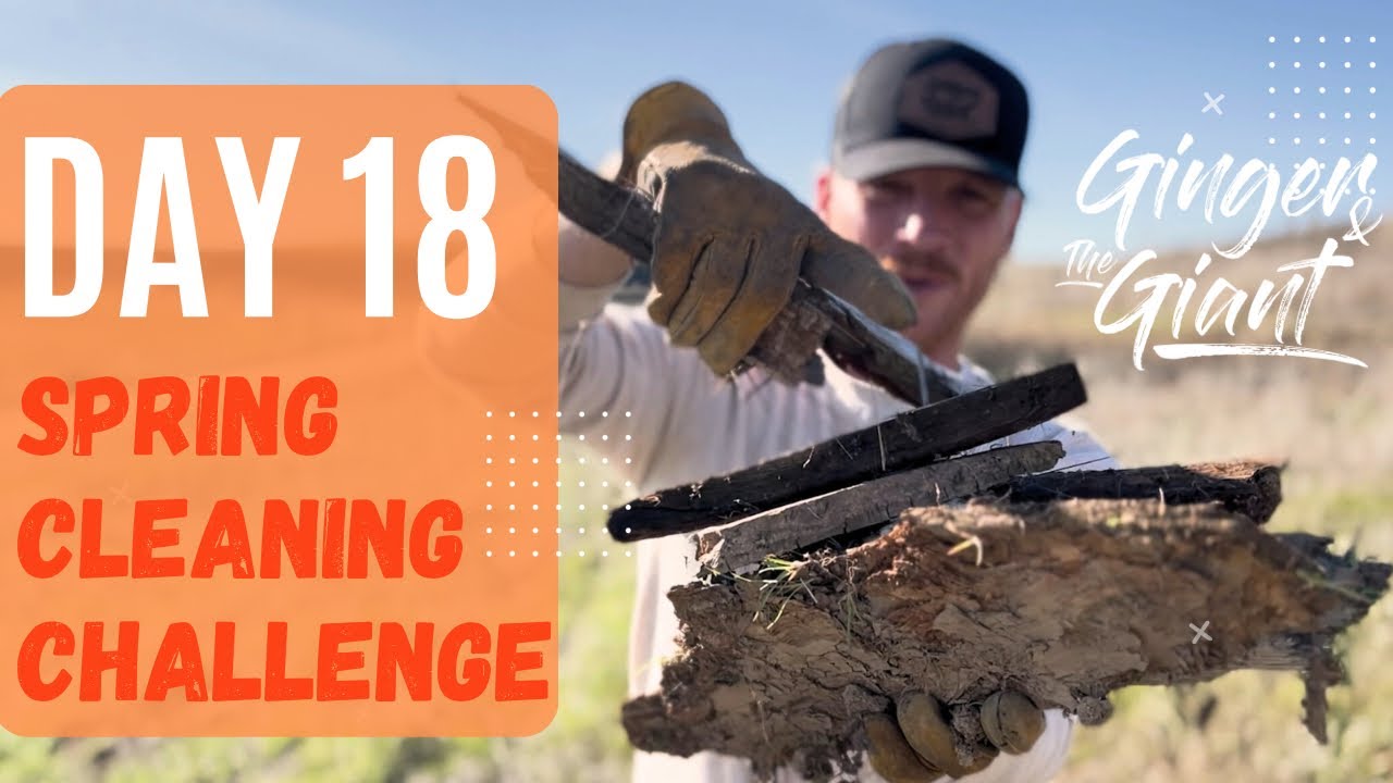 Day 18 - Spring Cleaning CHALLENGE - YouTube