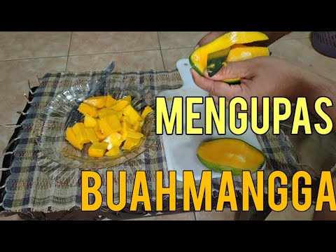 cara mengupas mangga praktis mudah dan sederhana|| - YouTube