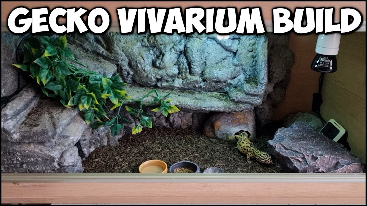 DIY Leopard Gecko Vivarium upgrade guide! - YouTube