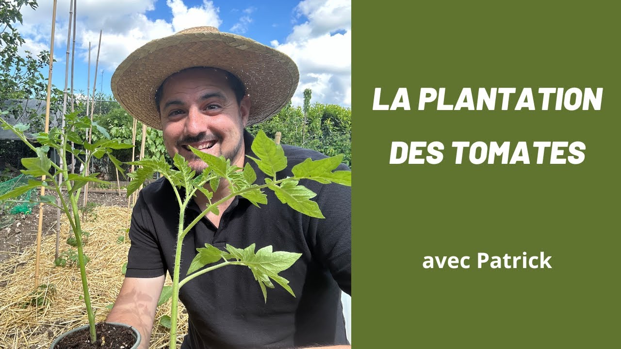 Comment bien PLANTER les TOMATES au jardin POTAGER ?! 🍅👍 - YouTube
