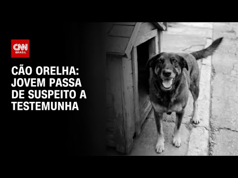 Cão Orelha: adolescente deixa de ser suspeito em morte de cachorro | BASTIDORES CNN