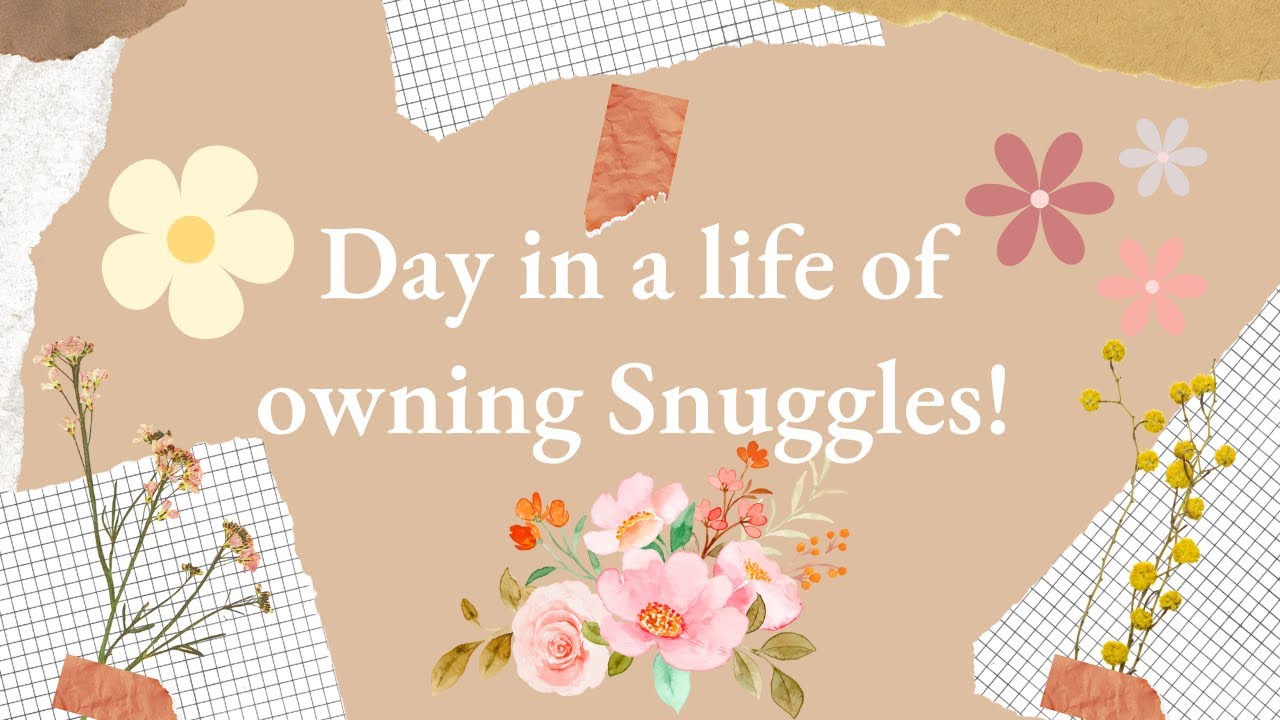 Day in a life of owning Snuggles! || Snuggles the Bunny - YouTube