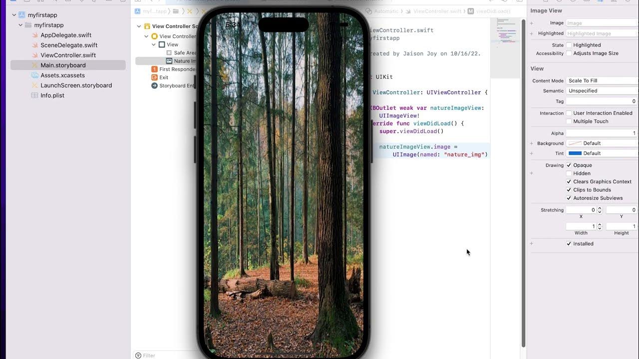 Ios Display Image Using Swift Code Xcode Iphone App Development Youtube