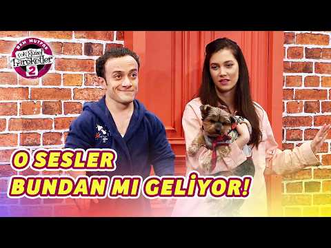 Bu Ses Bu Köpekten Mi Çıkıyor! (77.Bölüm) - Köpeğin Olurum