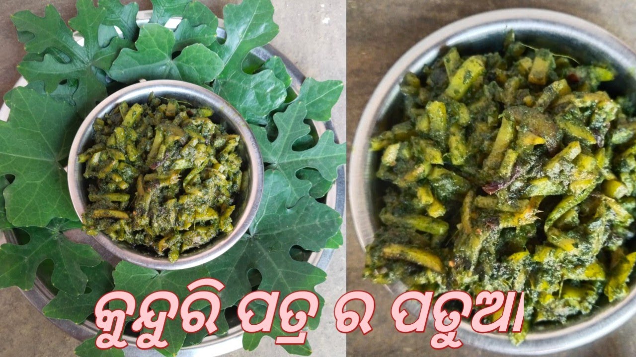 Kundiri patra ra patua, କୁନ୍ଦୁରି ପତ୍ର ର ପତୁଆ - YouTube