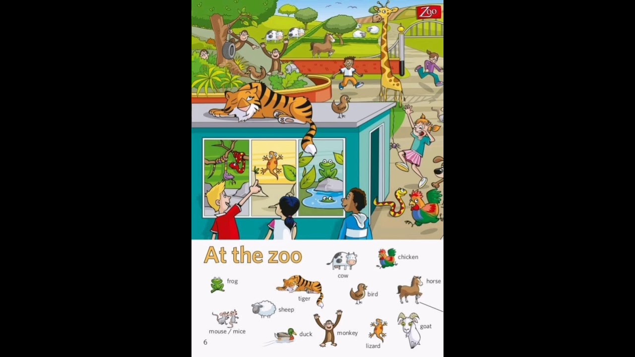 Picture composition - At the zoo. English Speaking skills. - YouTube