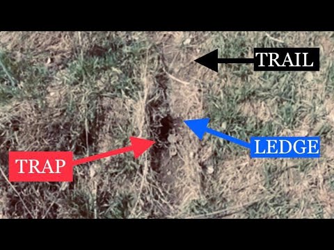 BLIND SETS WITH FOOTHOLD TRAPS "THE STEP DOWN SET" - YouTube