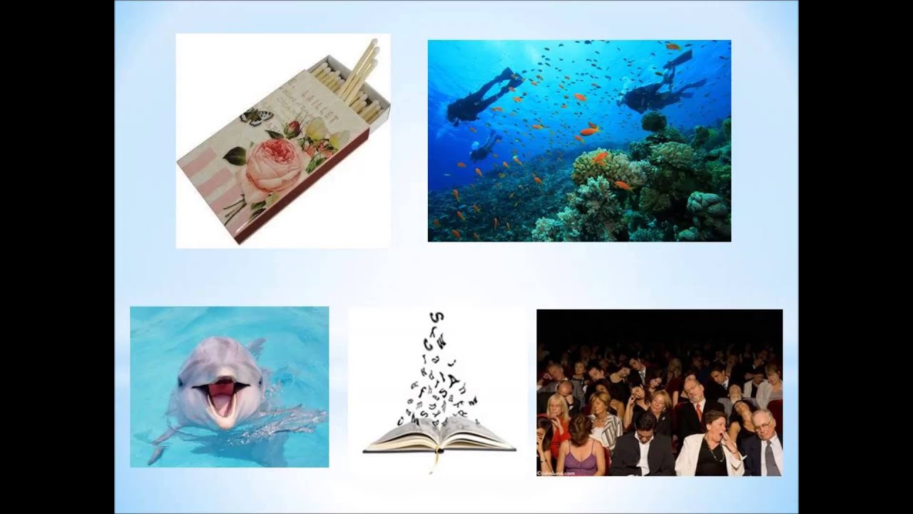 Sweet Like a Crow Audio and Visual option - YouTube