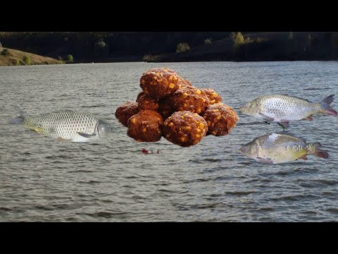 Самая лучшая самодельная прикормка для мирной рыбы Прикормка для Карася ...