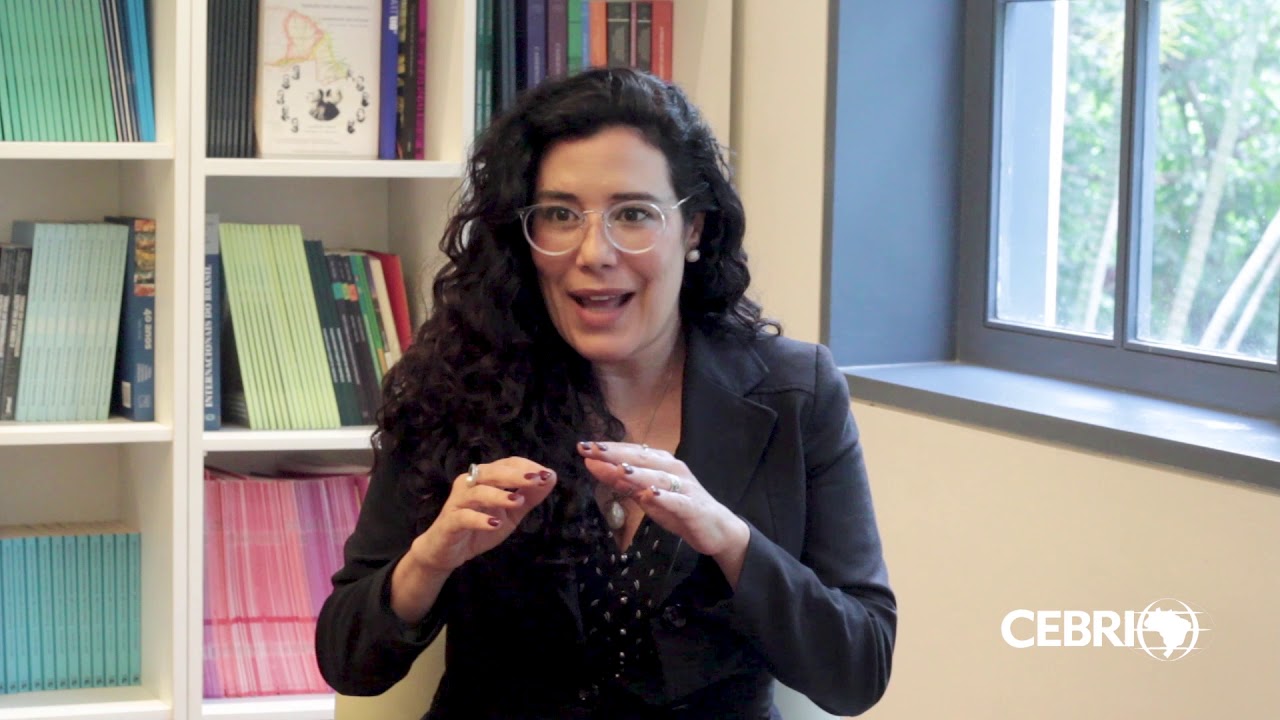 CEBRI Entrevista Lavinia Barros de Castro, Gerente do BNDES - YouTube