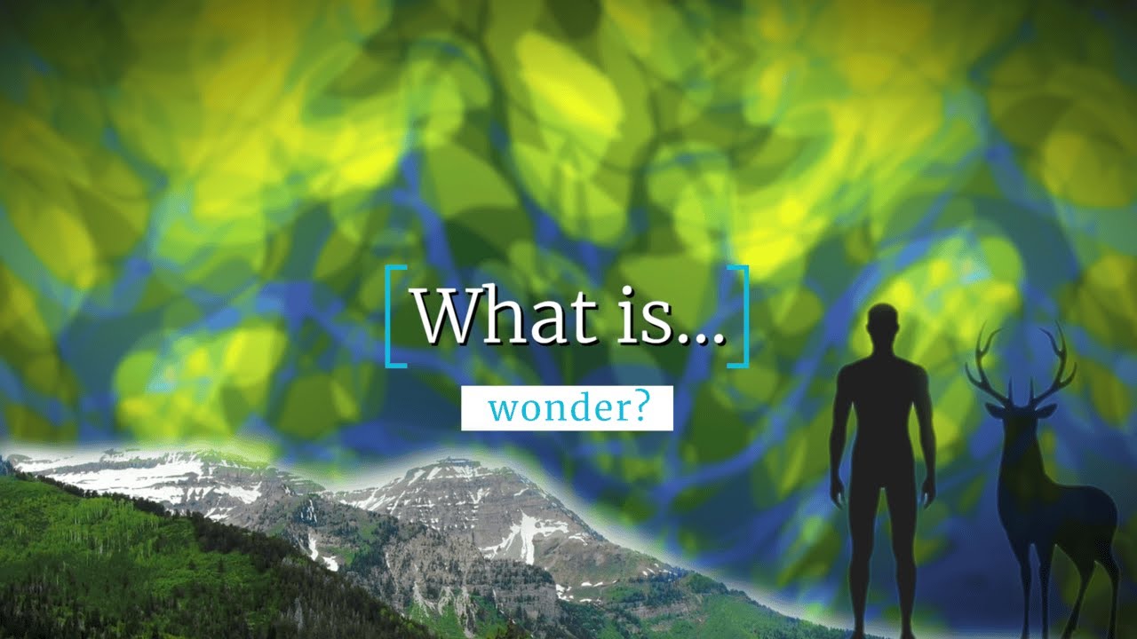 What Is... Wonder? - YouTube