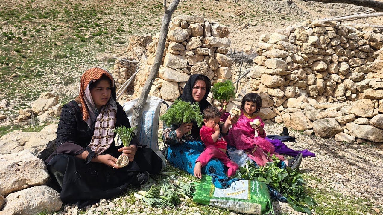 Iranian nomadic life: daily life and picking edible plants - YouTube
