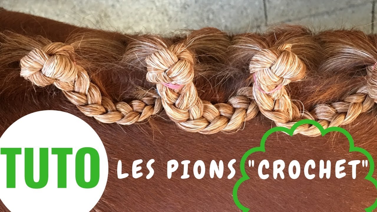 [TUTO GROOM] Pionter une crinière longue: LES PIONS "CROCHET" 🌺 - YouTube