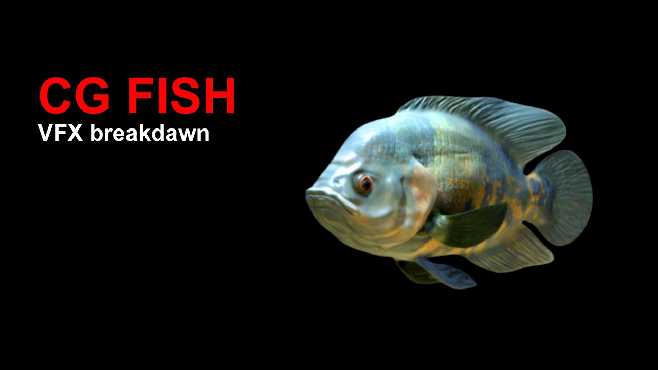 CGI VFX Breakdowns HD: "Aquarium Pet Fish" - by VFX Rigging Artist ...