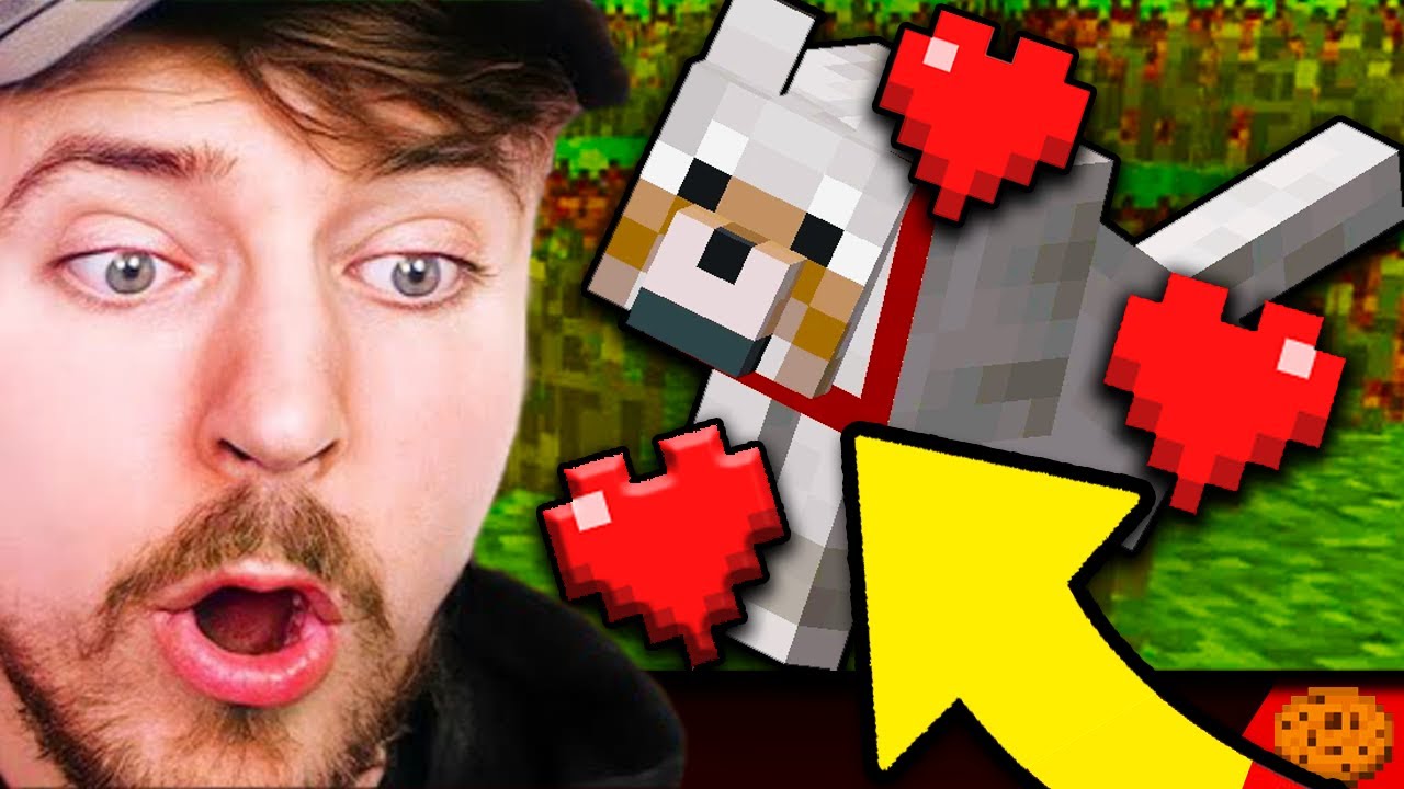 MrBeast's Forgotten Minecraft Server (SimpCraft) - YouTube