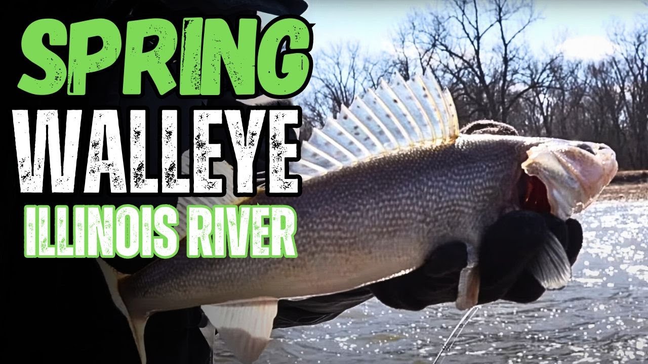 Spring Walleye Fishing the Illinois River!! - YouTube