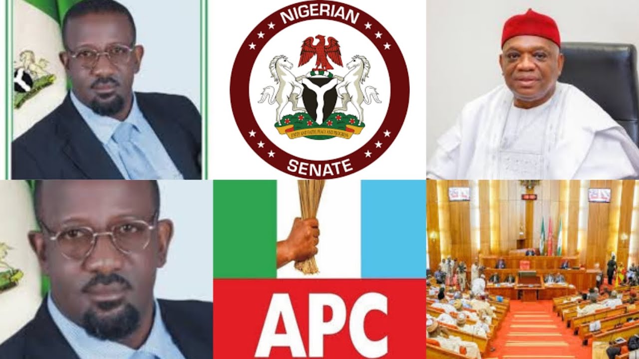 SENATE PRESIDENCY IS NOT A PLACE FOR PEOPLE WITH CRIMINAL RECORDS- DR ...