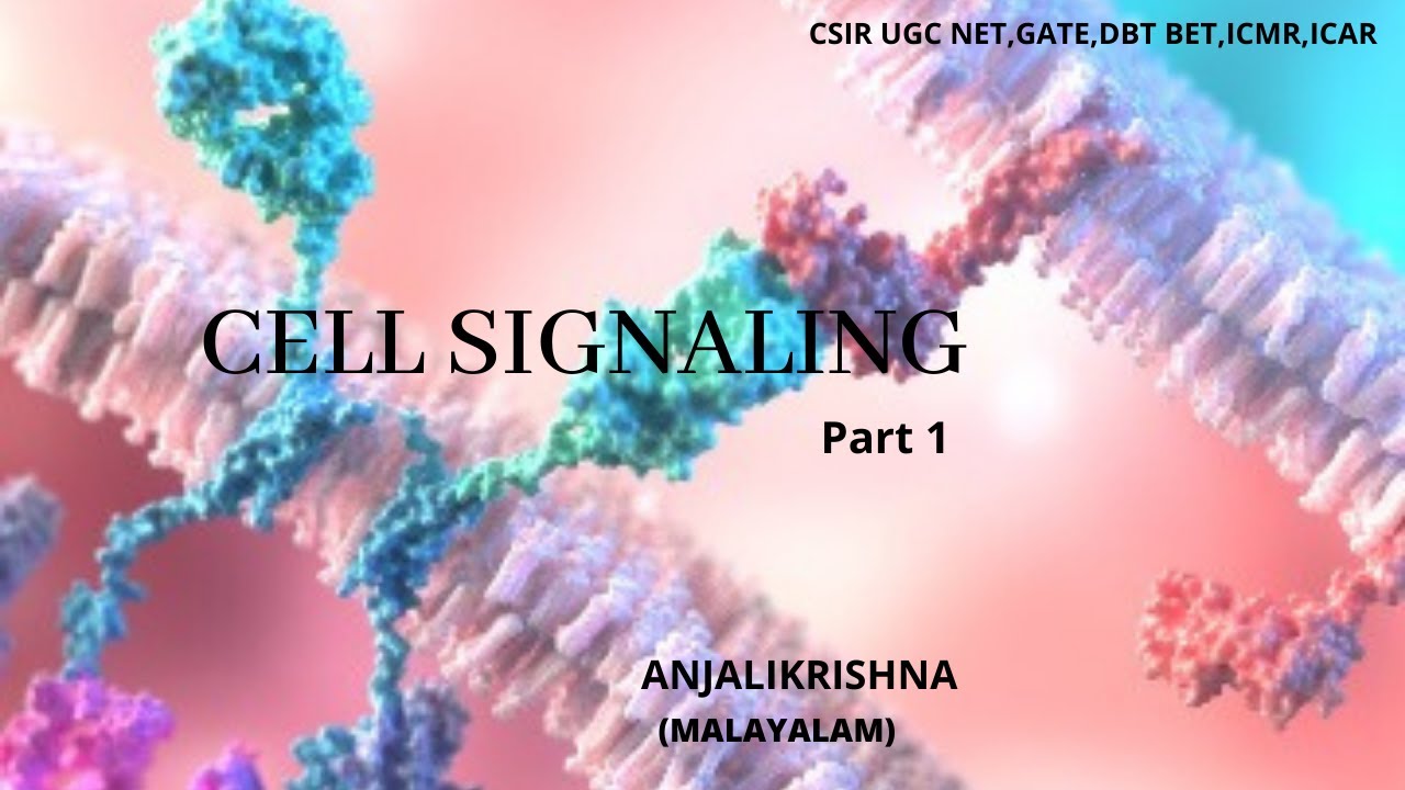 Cell signaling basics-Part 1 - YouTube