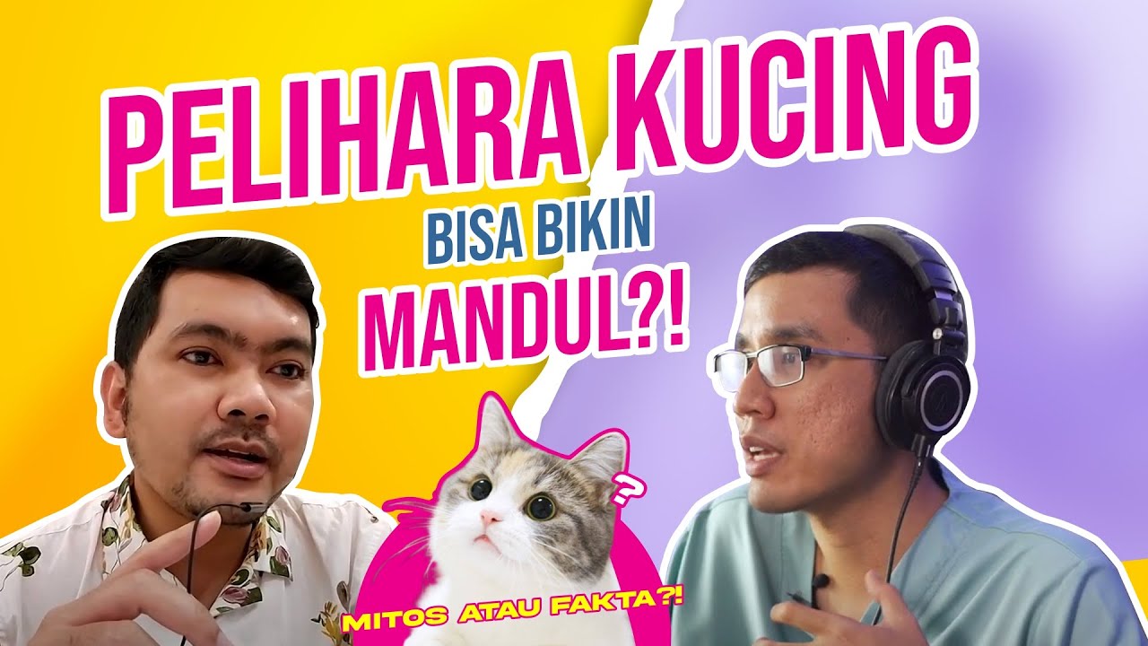 Kucing Bisa Membuat Mandul? - YouTube