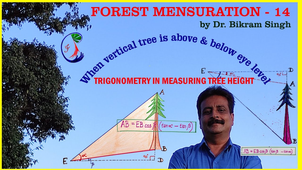 Forest Mensuration -14. Vertical Tree height measurement when tree is ...