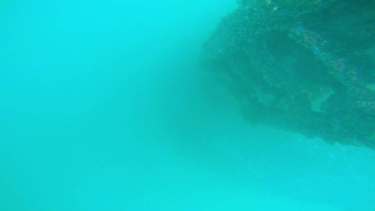 Pylon dive extended - YouTube