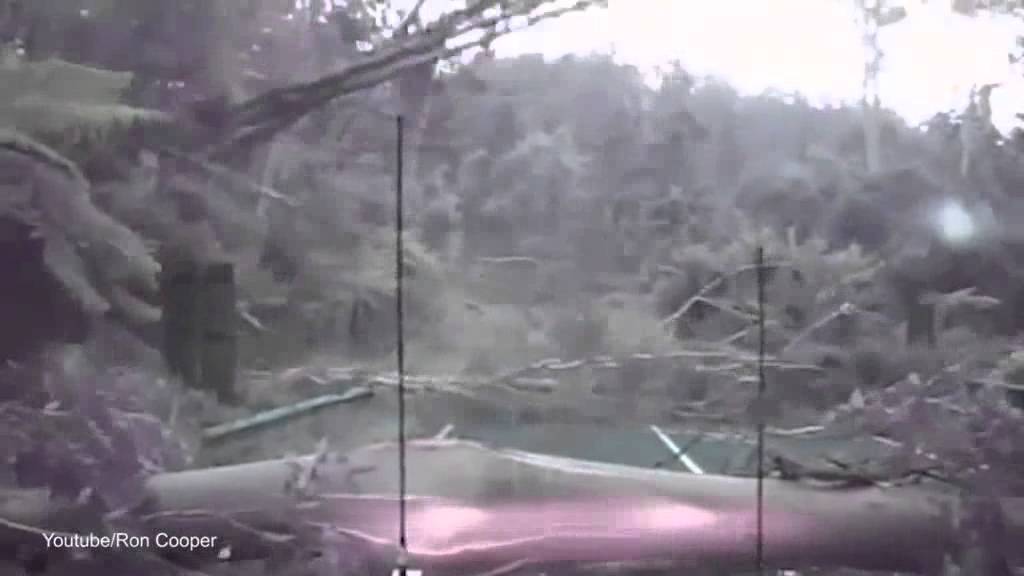 Amazing Footage Shows Strong Winds Topple Trees On Australian Road ...