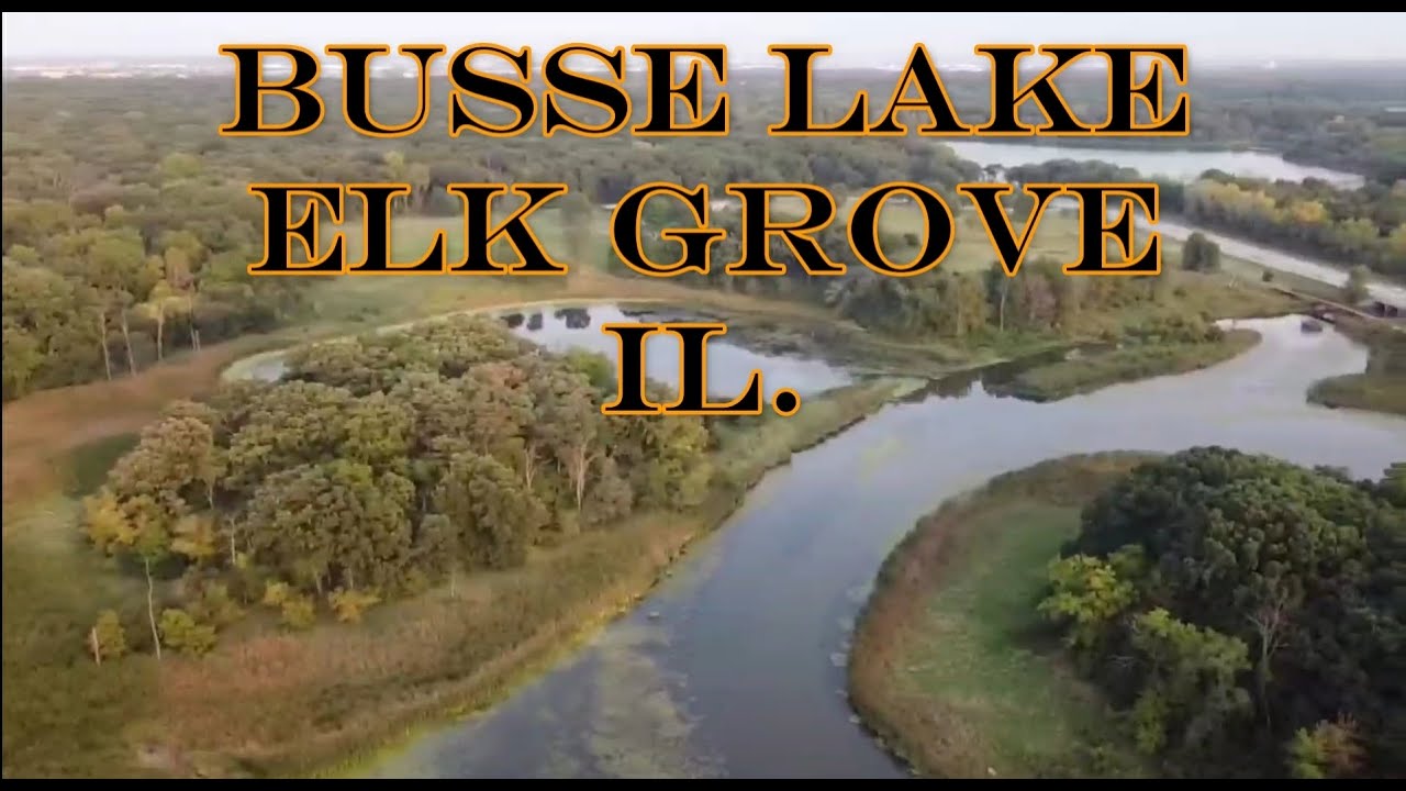 BUSSE LAKE ELK GROVE IL. - YouTube