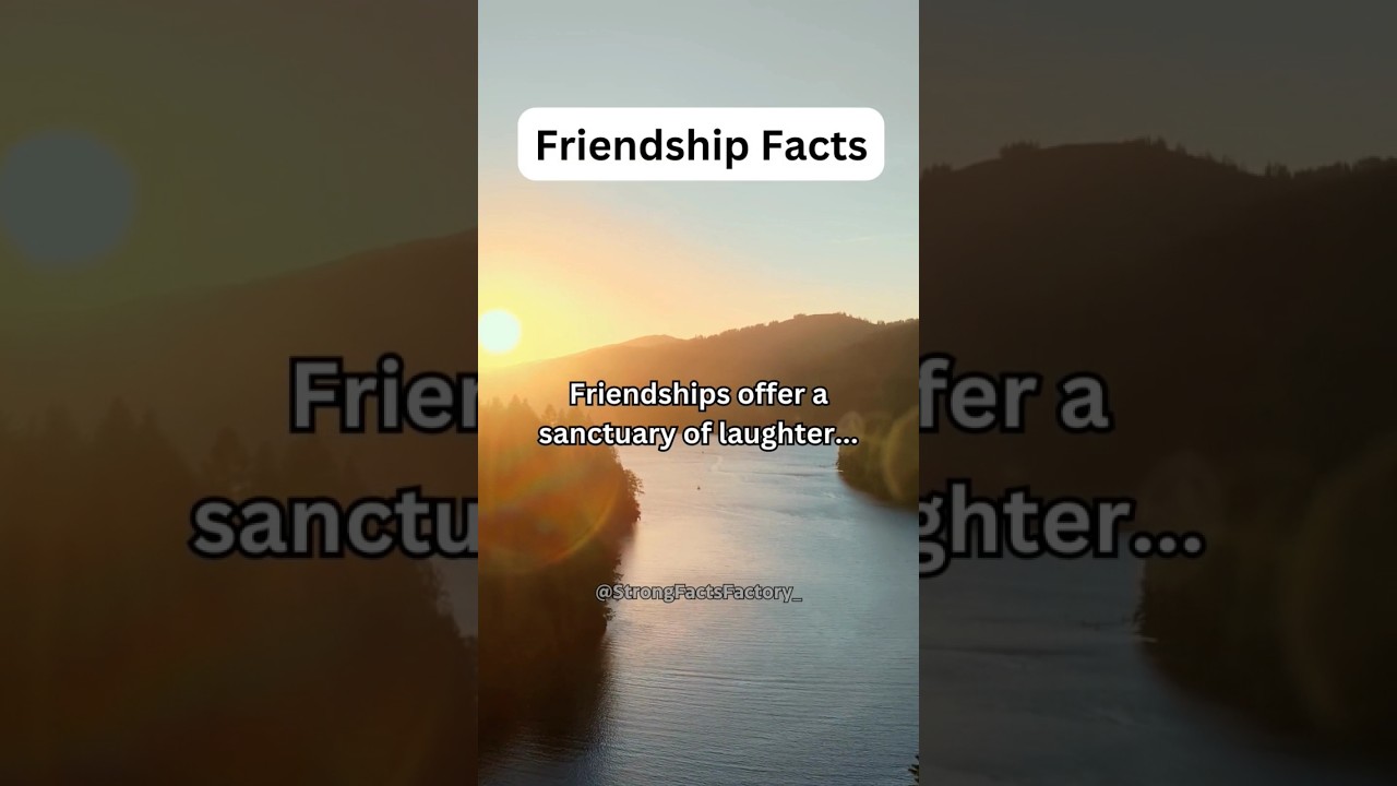 Friendship offer a sanctuary of laughter...#friendship - YouTube