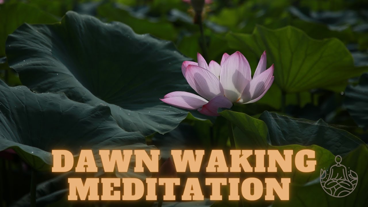 Dawn waking meditation|Morning Relaxing Music - Wake up with Beautiful ...