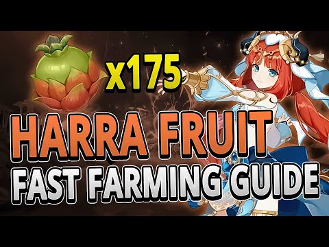 Harra Fruit 175 Locations FAST FARMING ROUTE +TIMESTAMPS | Genshin ...