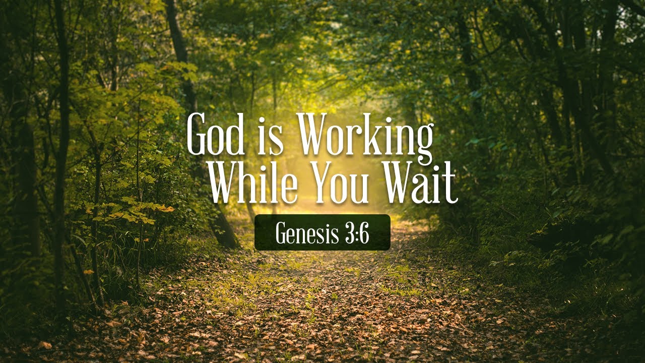 God Is Working While You Wait - Genesis 3:6 - YouTube