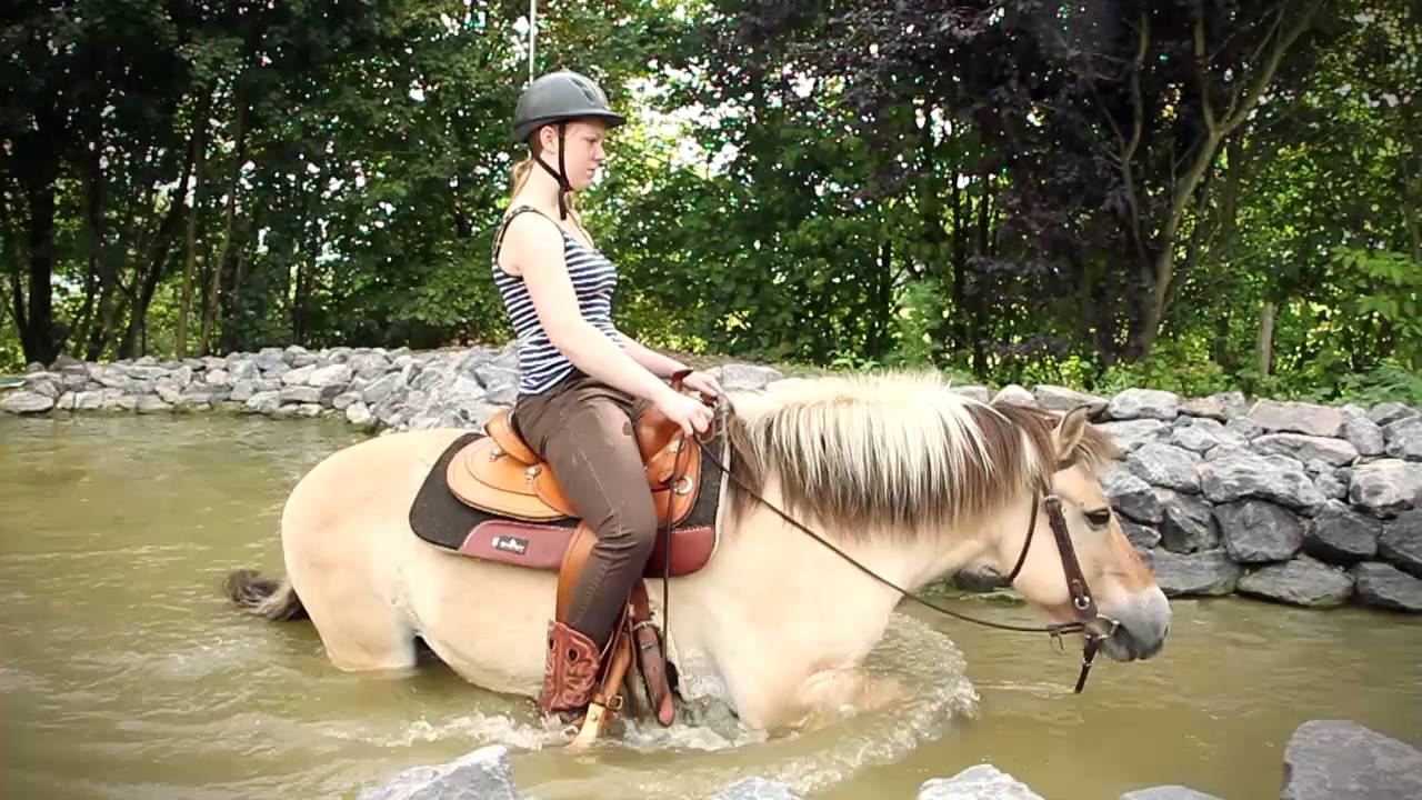 Extreme Trail Workshop in St. Katharinen - YouTube