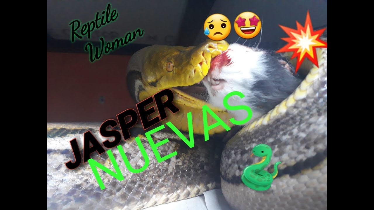 UNBOXING!!!! GENETIC STRIPE, PHANTOM SUNFIRE Y MÁS!!!! NUEVOS PROYECTOS ...