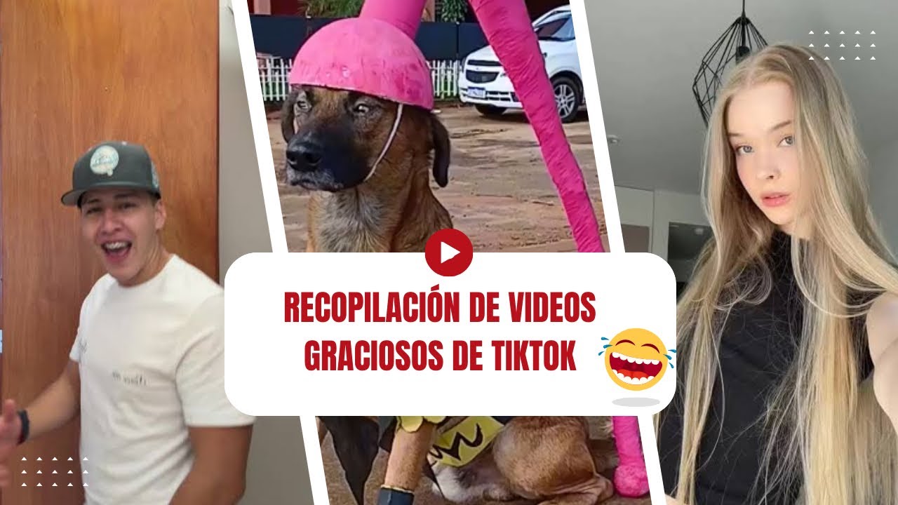 Videos Chistosos De Tiktok