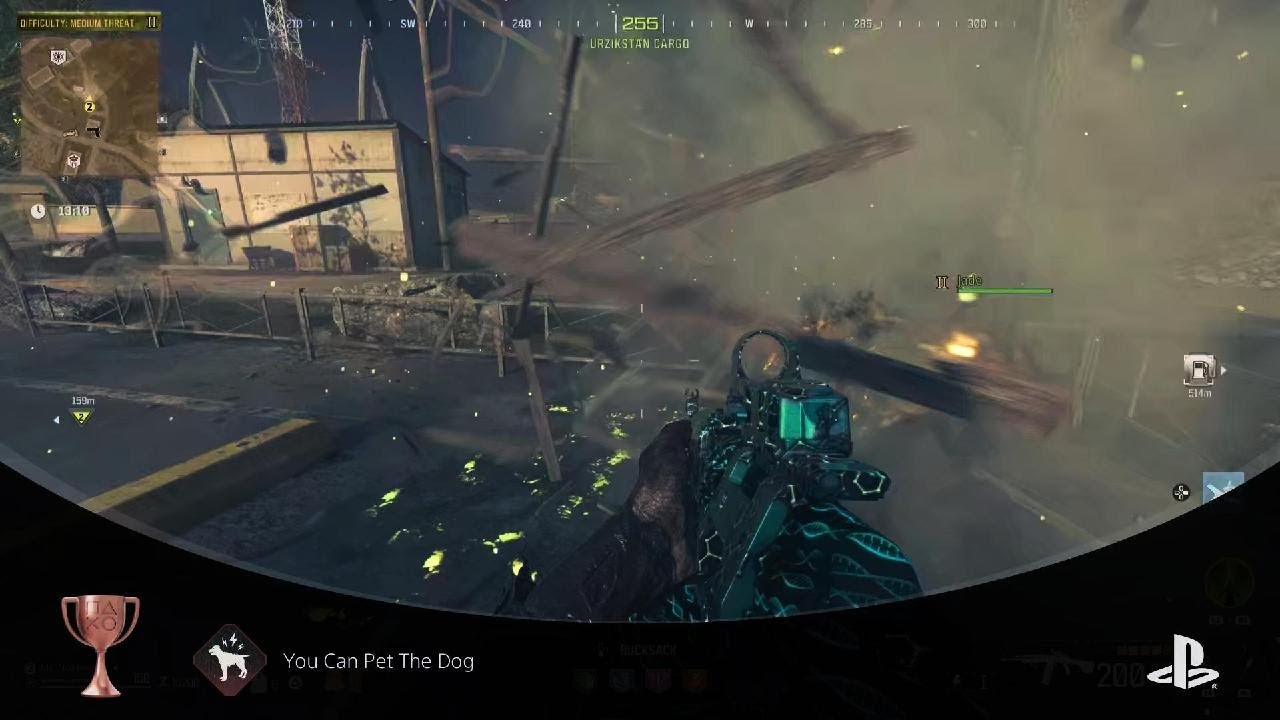 How to get a pet dog in MW3 Zombies - YouTube
