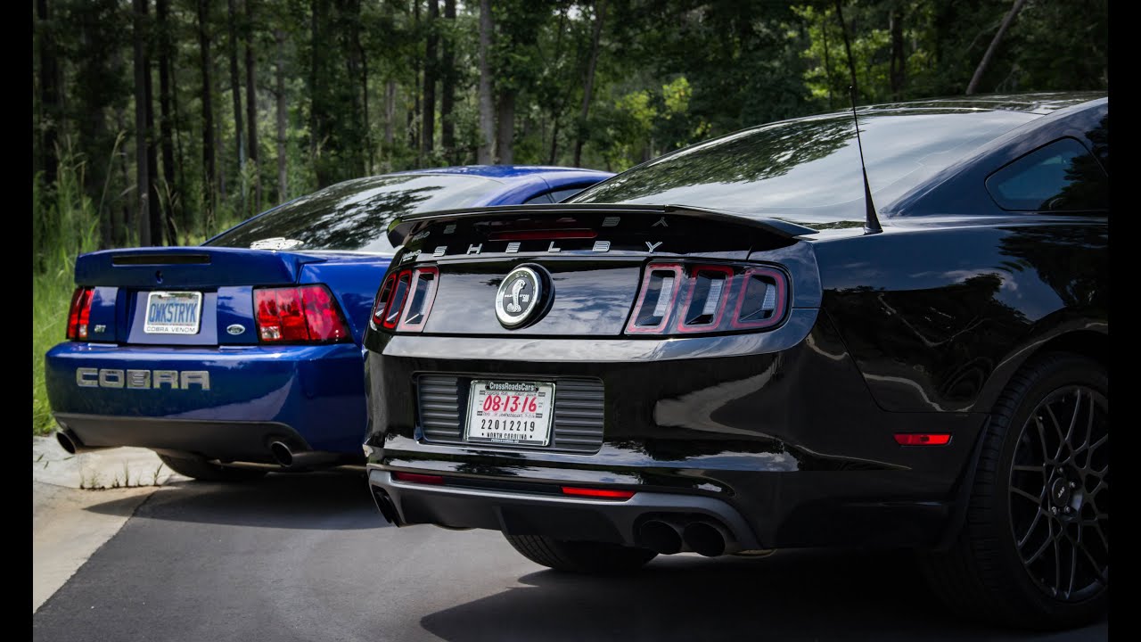 2003 SVT Cobra and 2014 Shelby GT500 Cinematic Shots, Revs ...