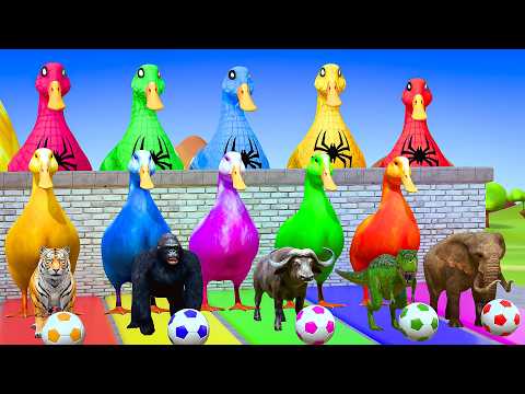 Long Slide Game with Colourful Duck Cow Tiger Gorilla Dog Elephant 3d Animal Game Funny 3d Animals