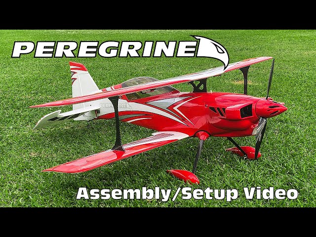 Extreme Flight RC In Action - Model Airplane News