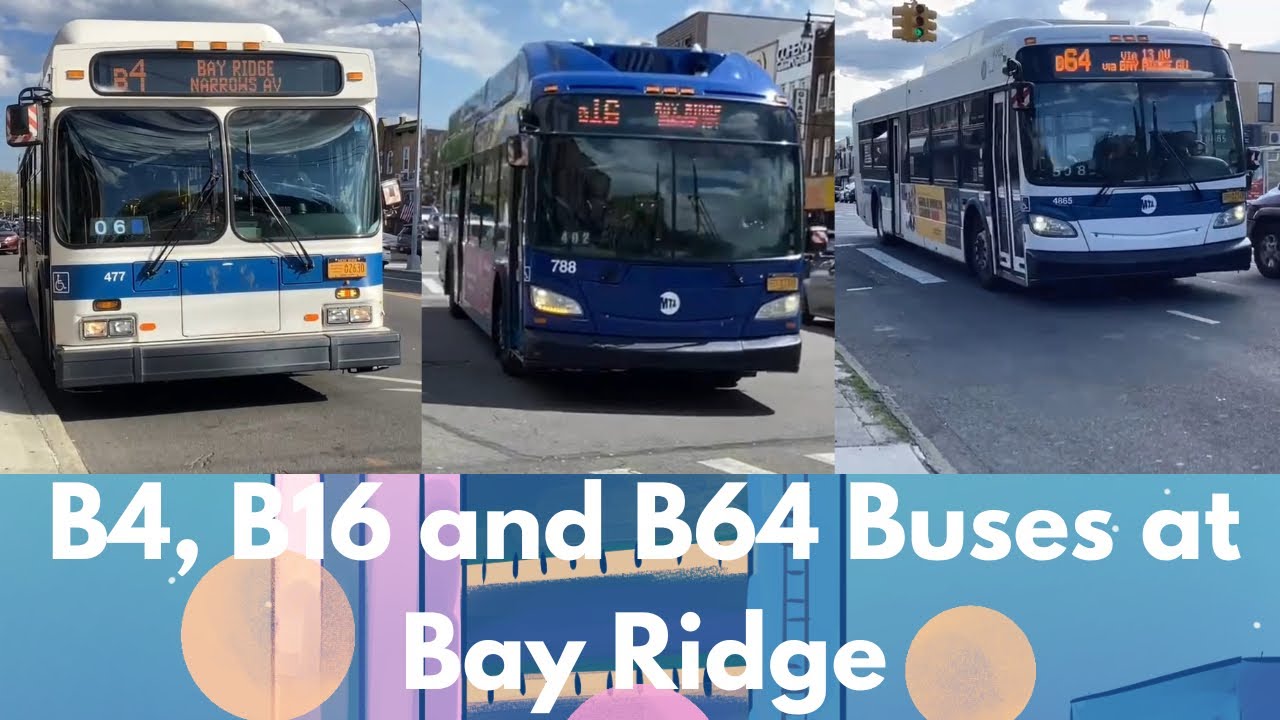 B4, B16 and B64 Buses at @BayRidge - YouTube