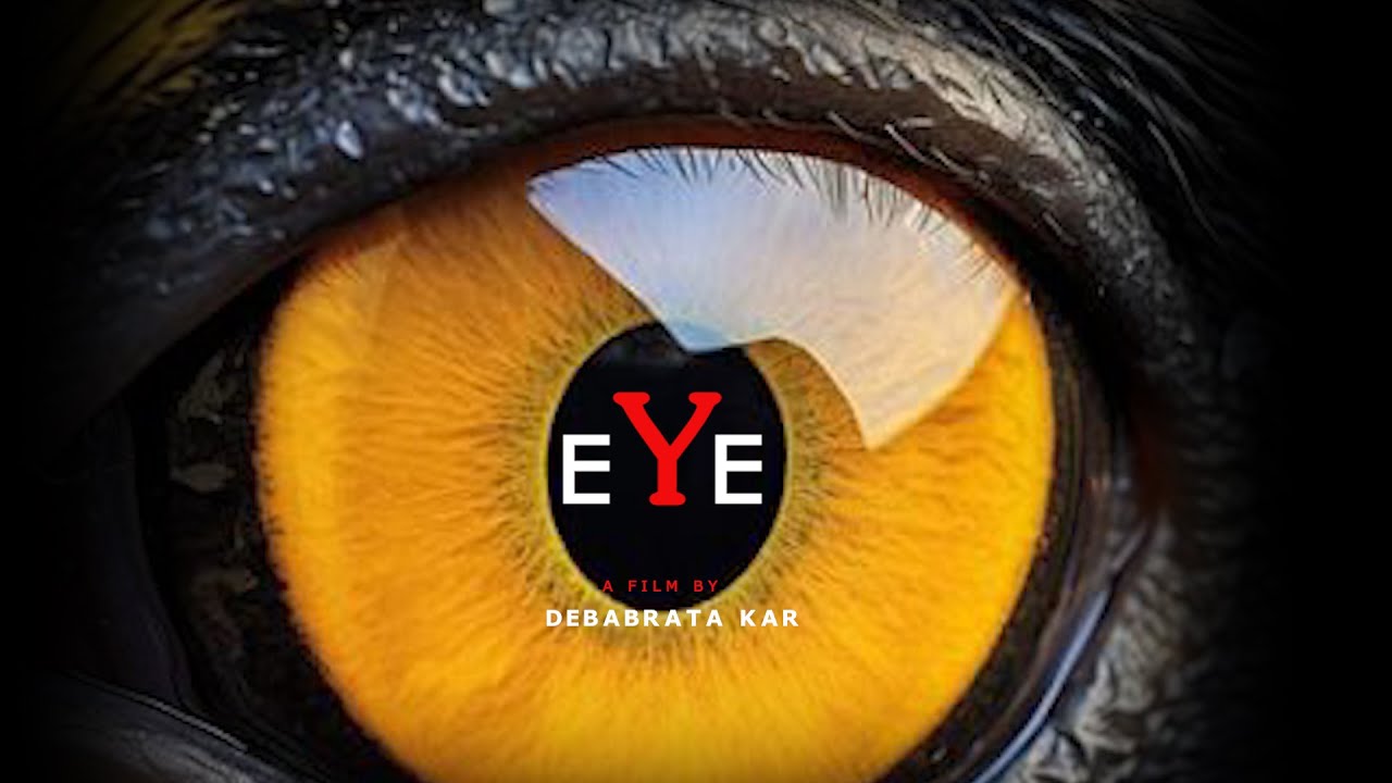 EYE | Animated Short Film | 2D Short Film - YouTube