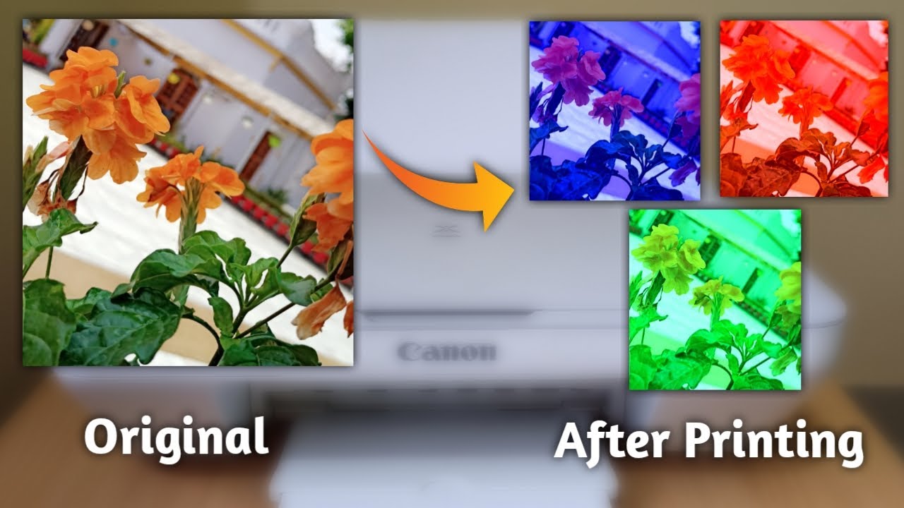 Canon Single Color Printing Problem । Not Printing All Colors । Printer ...