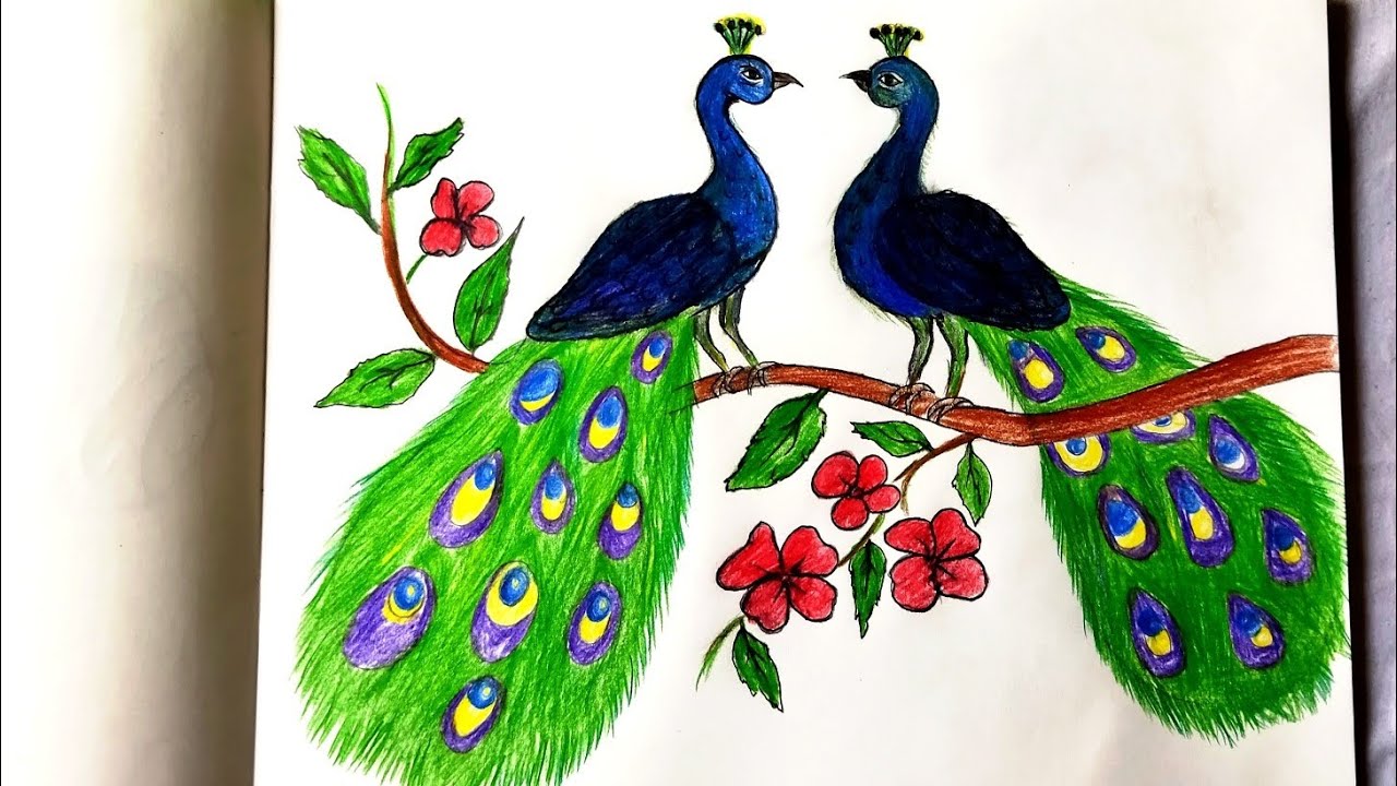 peacock drawing|मोर कैसे बनायें|how to draw peacock|mor kaise banaye ...