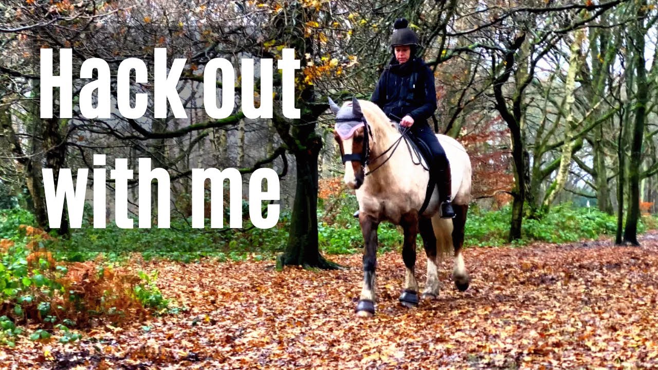 Come hacking on my horse with me, getting willow fit for show season ...