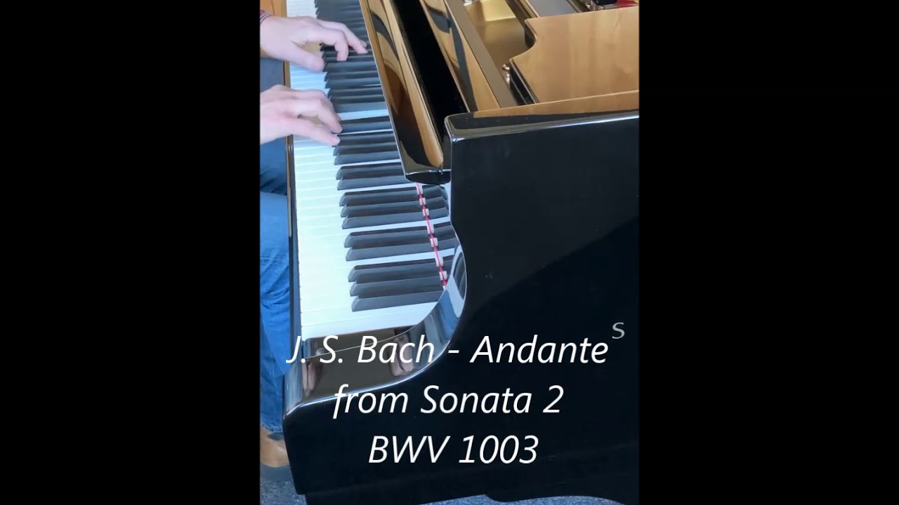 J. S. Bach - Andante from Sonata 2 BWV 1003 (piano version) - YouTube