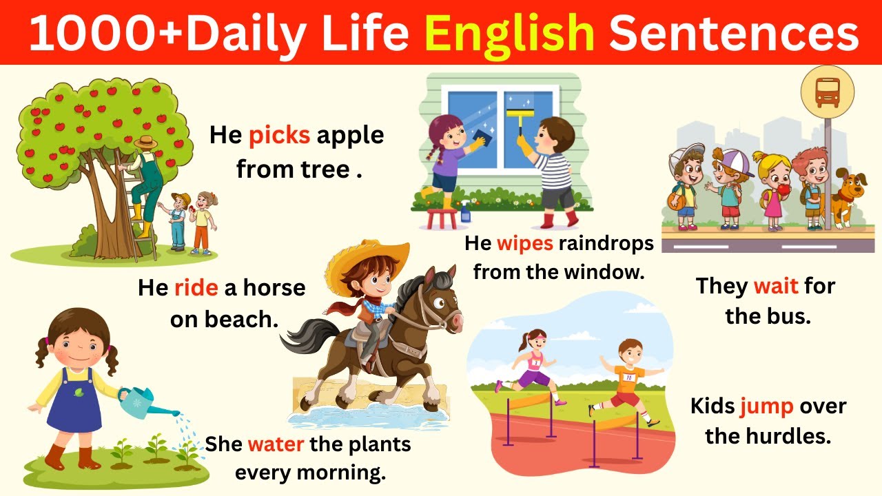 1000+Daily use of sentences||Daily English Sentences for Practice ...