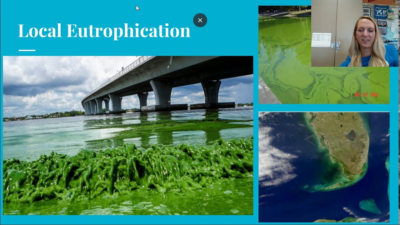 Human Impact on the Marine Ecosystem: AICE Marine Chapter 13 - YouTube