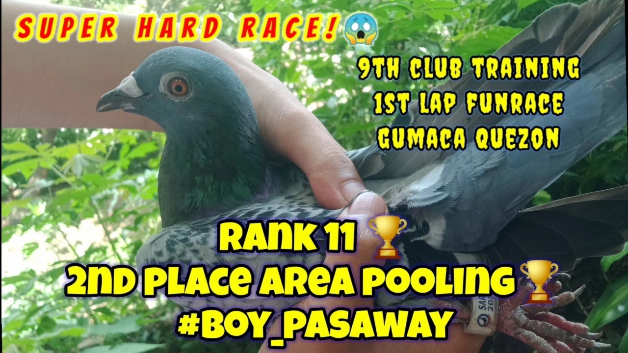 SUPER HARD RACE! GUMACA QUEZON NAGKAUBUSAN! 😭😭 Boy Pasaway Rank 11, 2nd AREA POOLING 🏆😁 3/3 ...