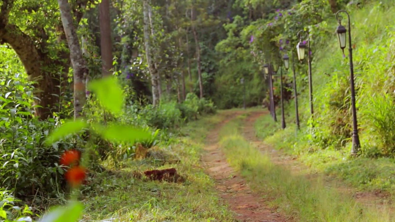 Old Kent Estate - Coorg - YouTube