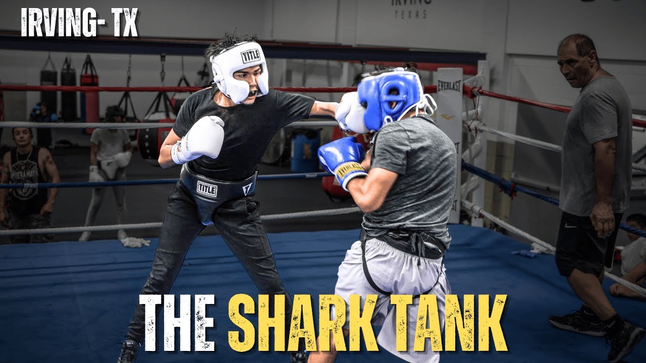 SHARK TANK! Amateur Boxers Spar BACK TO BACK In the Ring! - YouTube