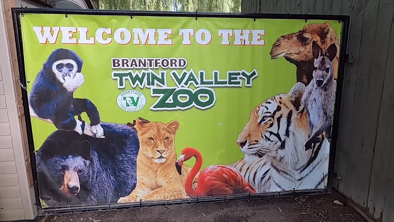 BRANTFORD TWIN VALLEY ZOO | ONTARIO CANADA - YouTube
